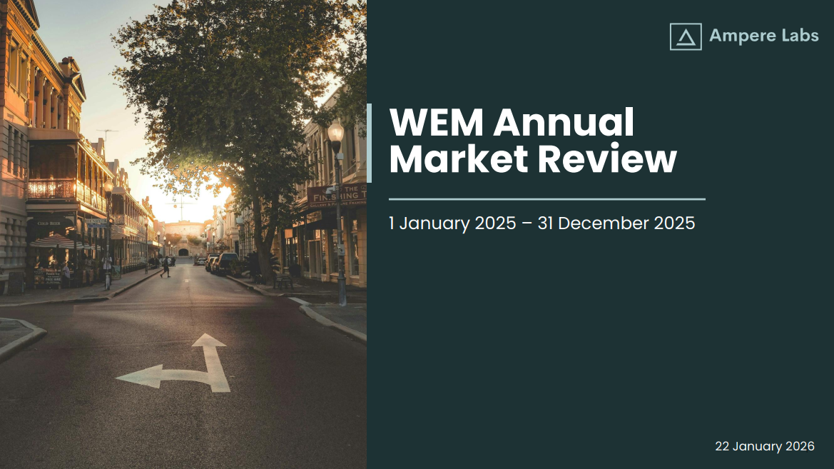 WEM Analysis and Reports