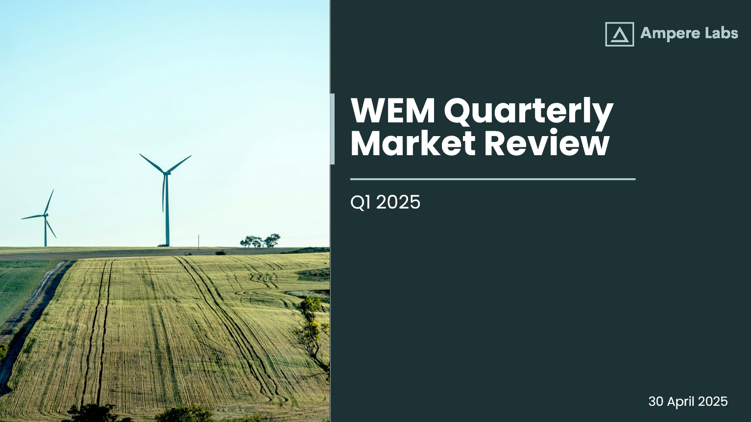 WEM Analysis and Reports